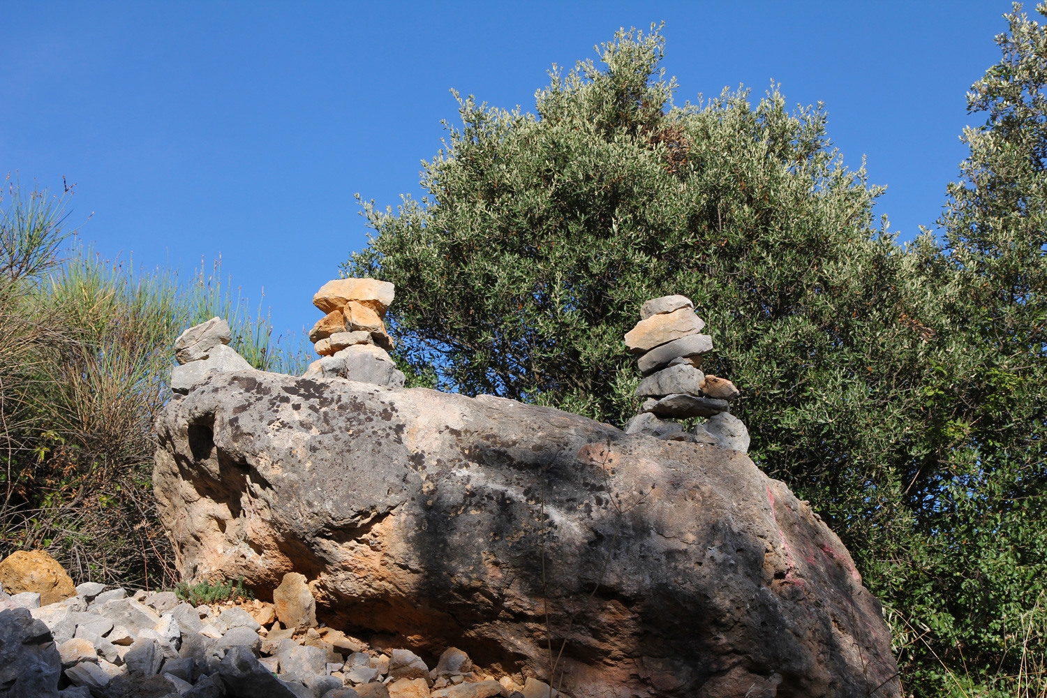 Les Causses | grandorb.fr