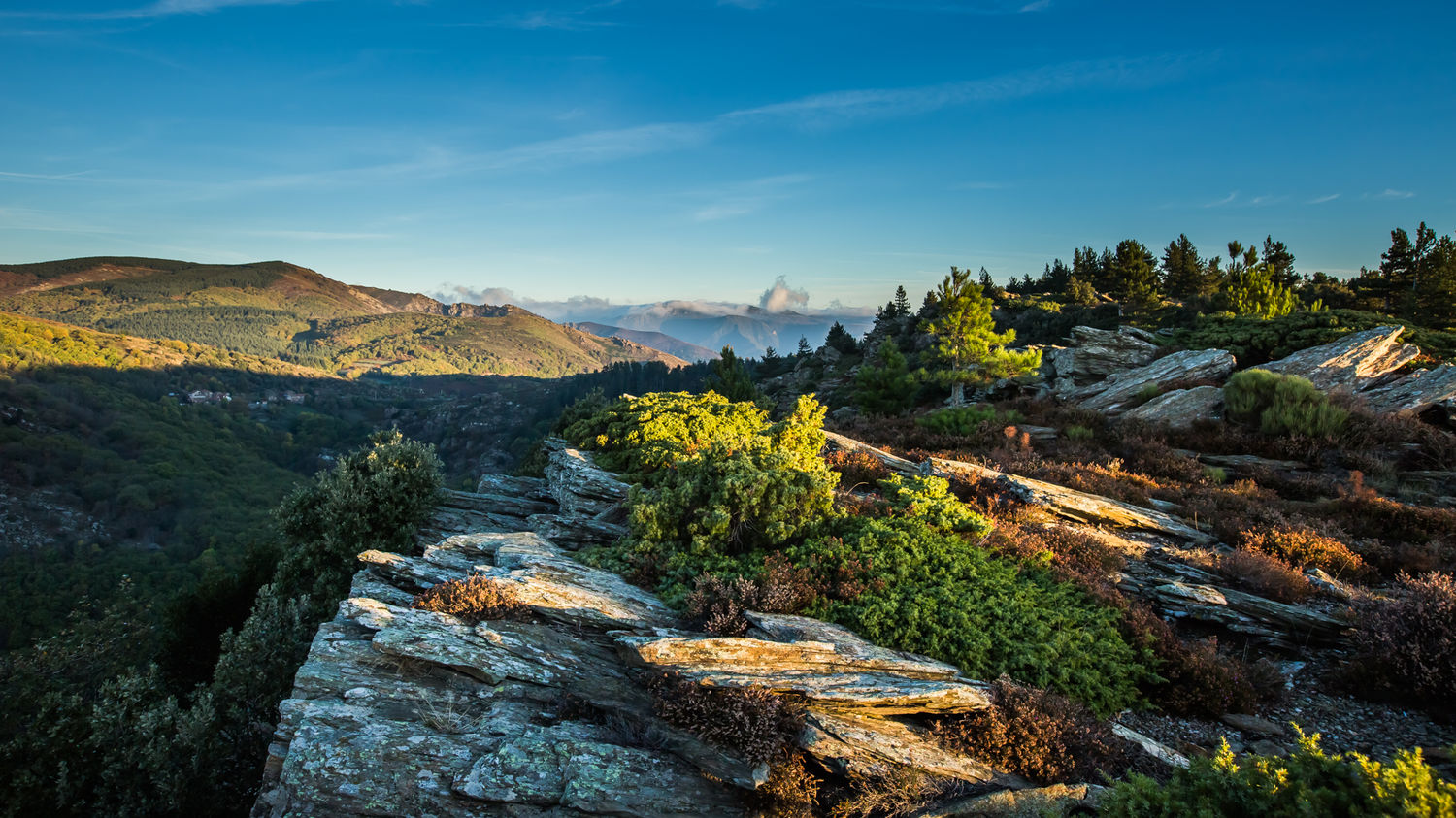 Combes | grandorb.fr