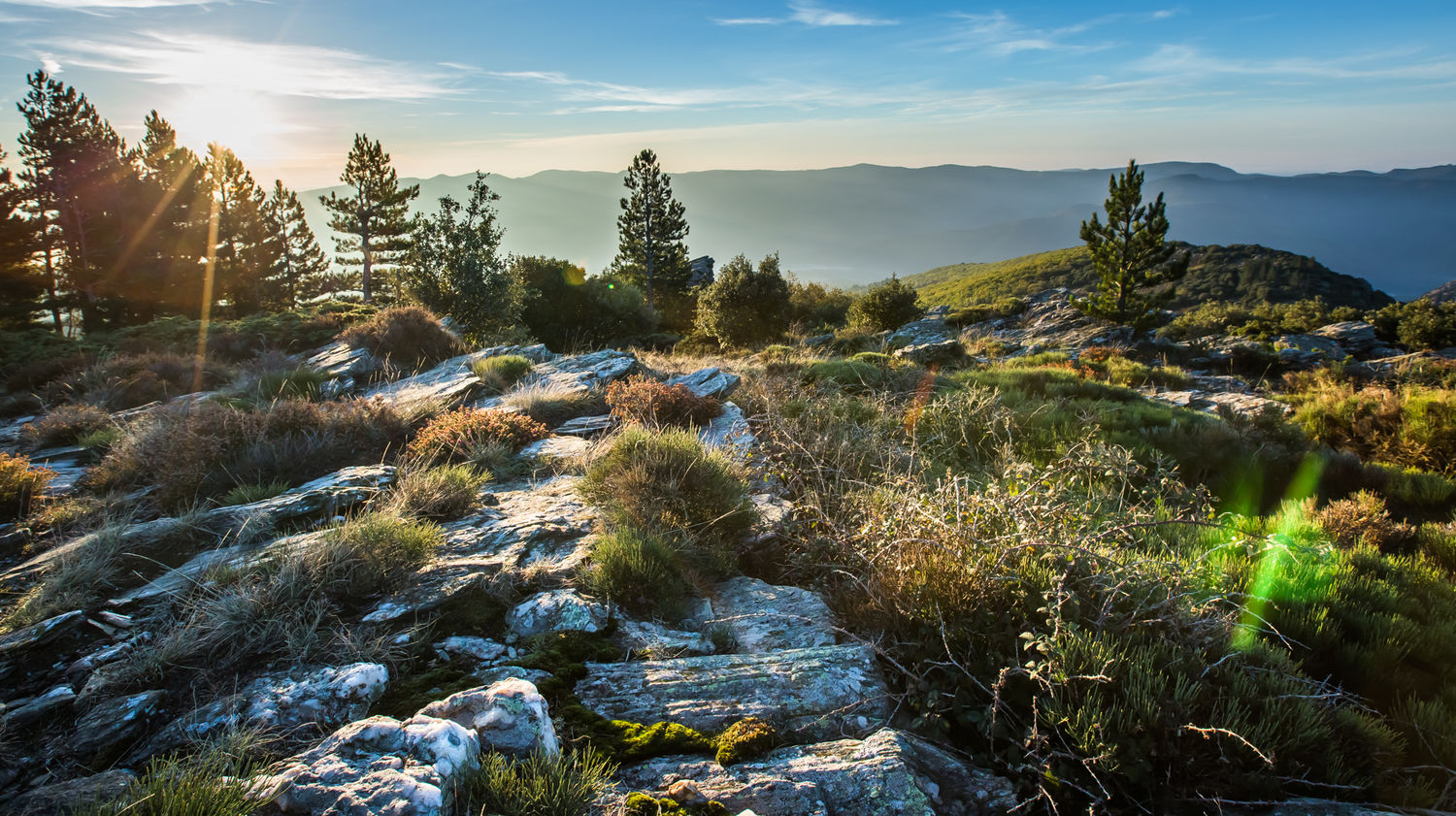 Combes | grandorb.fr
