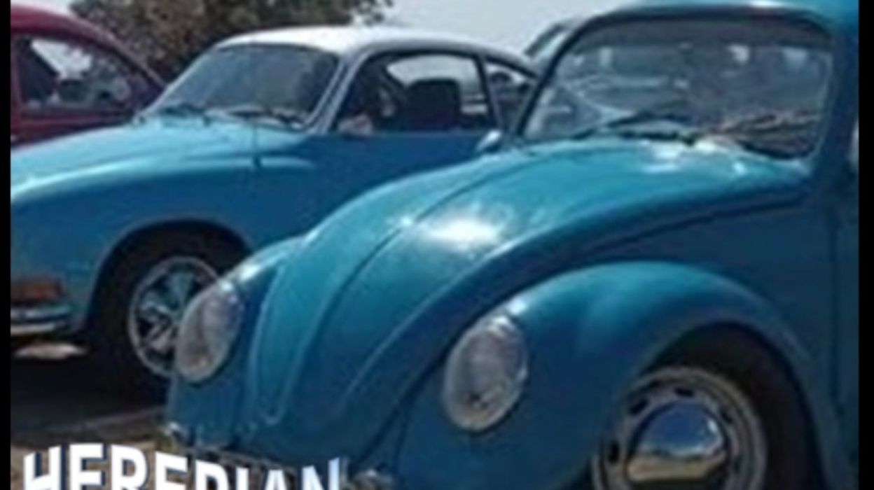 13ème Meeting Club Cox des Hauts Cantons | grandorb.fr/Sortir